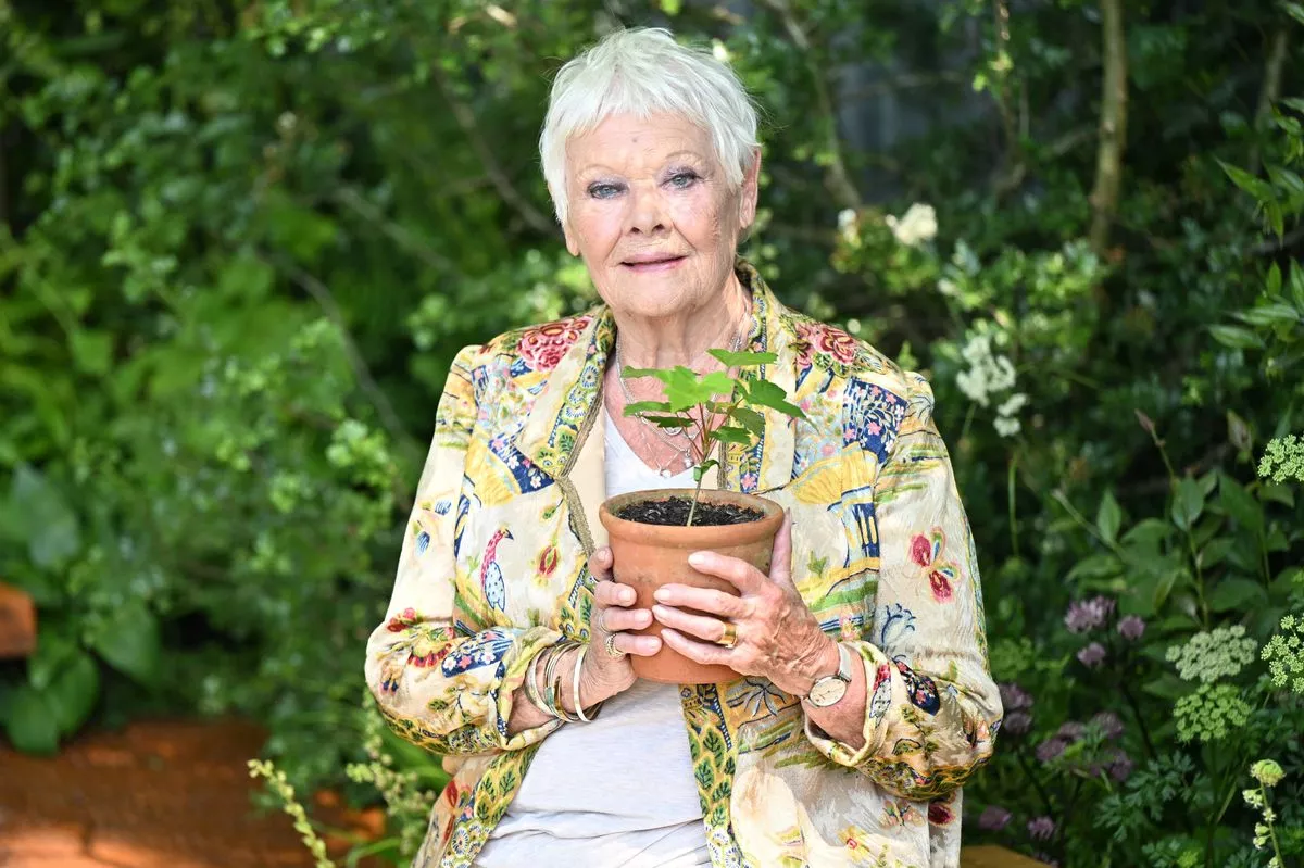 Where Are Melania and Barron Now? A Quiet Life After the White House ...